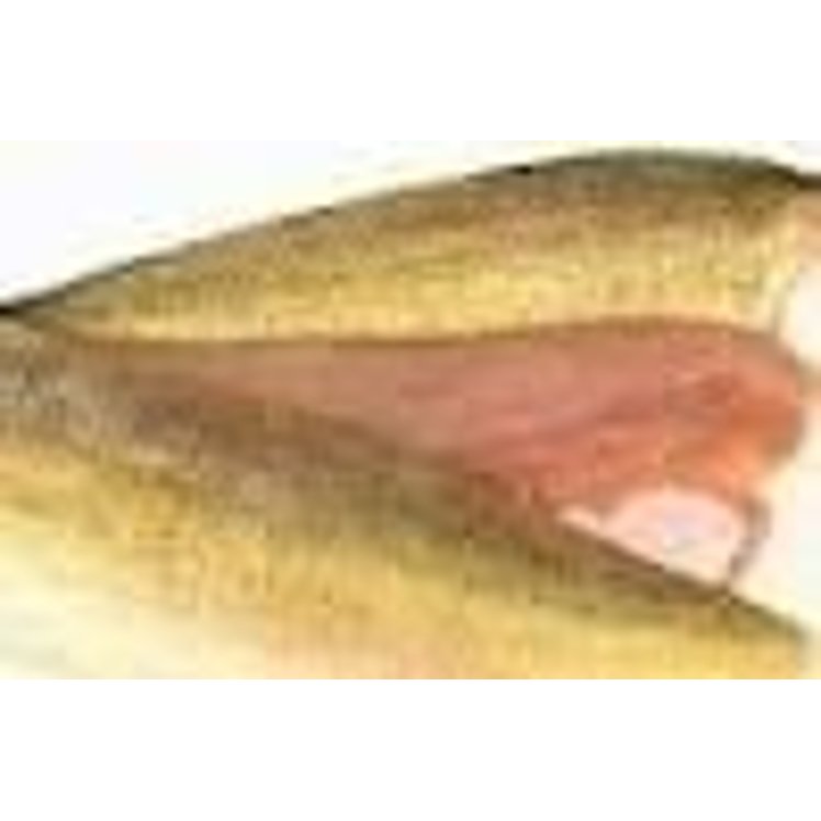 WALLEYE 6-8 OZ FILLET PBI SKIN-ON RAW IQF FROZEN IMPORTED CANADA WILD ...