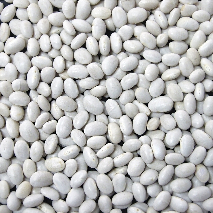 JACK RABBIT BEAN NAVY DRIED - US Foods CHEF'STORE