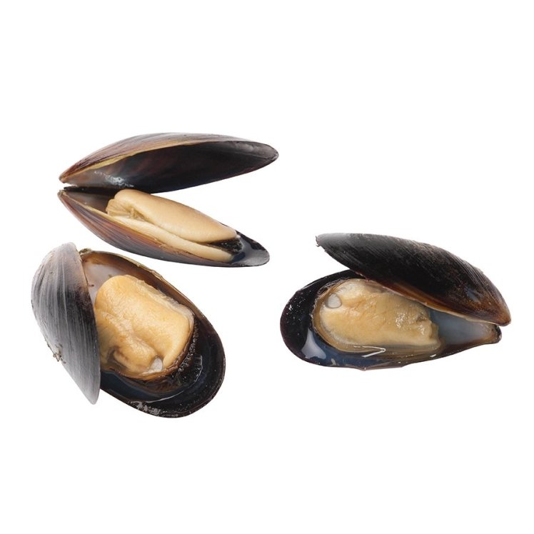 Harbor Banks Blue Mussels - US Foods CHEF'STORE