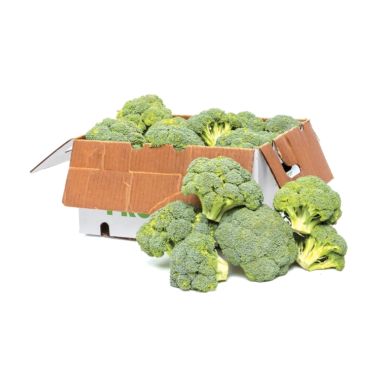 CROSS VALLEY FARMS BROCCOLI CROWN ICELESS BOX FRESH - US Foods CHEF'STORE