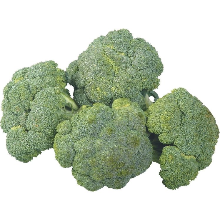 BROCCOLI FLORET FRESH - US Foods CHEF'STORE