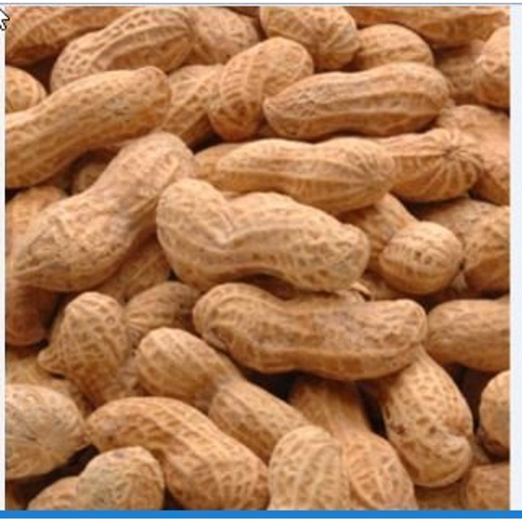 IMPERIAL NUTS ROASTED PARTY PEANUTS SALTED - US Foods CHEF'STORE