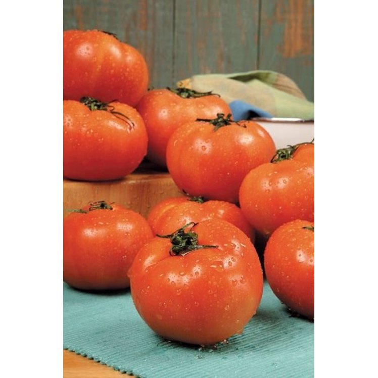 SUNSET ANGEL SWEET GRAPE TOMATO - US Foods CHEF'STORE